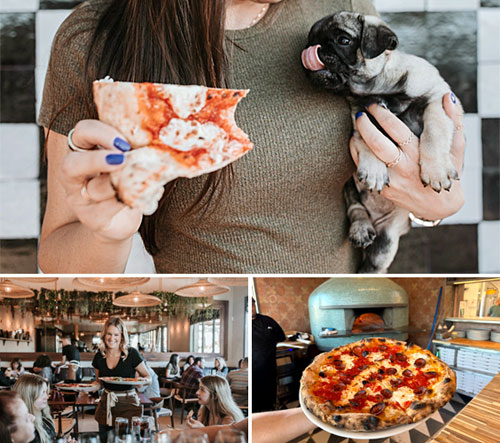Dog rescue founder launches Pizza to the Rescue in Phoenix - MOUTH BY ...